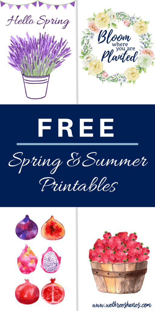 Free Spring and Summer Printables | We Three Shanes