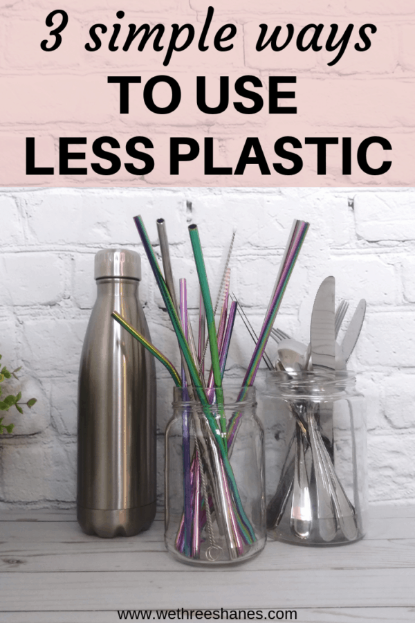 3 Simple Ways to Reduce Single-Use Plastic | We Three Shanes