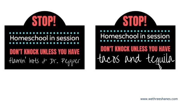 DIY We Can/Can't Play Sign +Free Printables | We Three Shanes
