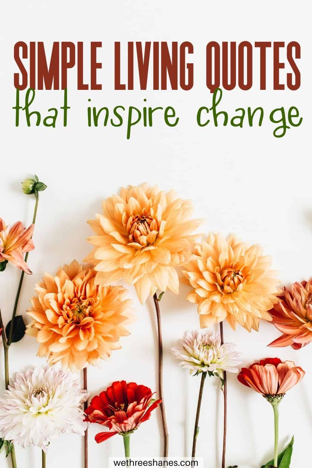 Slow Down and Enjoy Life With These Simple Living Quotes | We Three Shanes