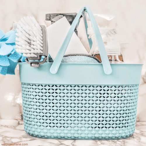 How to Make a Custom Cleaning Kit | We Three Shanes