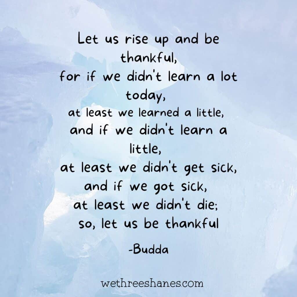 Thankful for Another Year Of Life Quotes | We Three Shanes