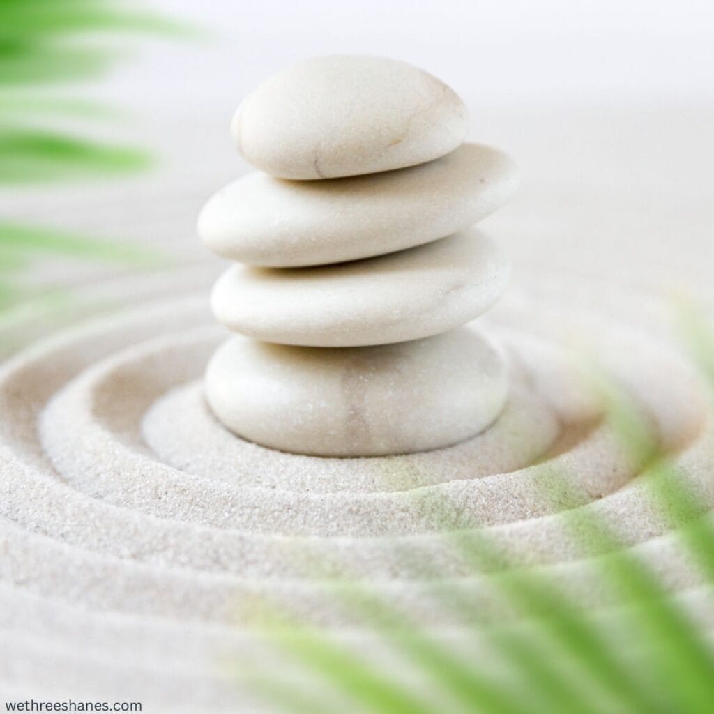 Minimalism in Japan: What the Japanese Can Teach Us | We Three Shanes