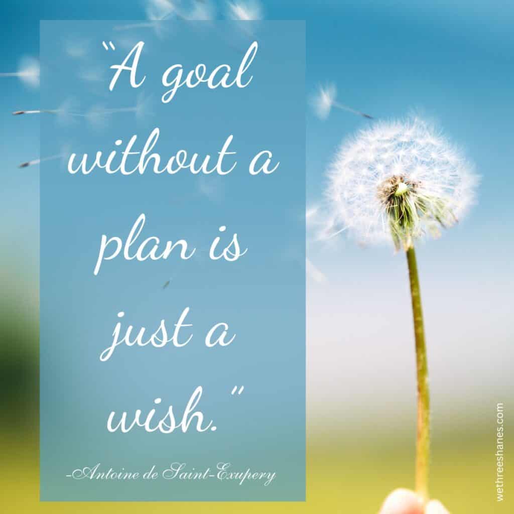 Inspirational Quotes to Help You Achieve Your Goals | We Three Shanes