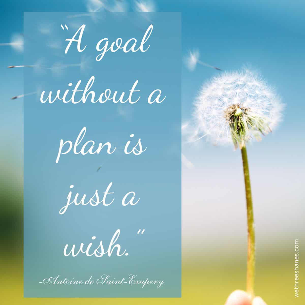 Inspirational Quotes to Help You Achieve Your Goals | We Three Shanes