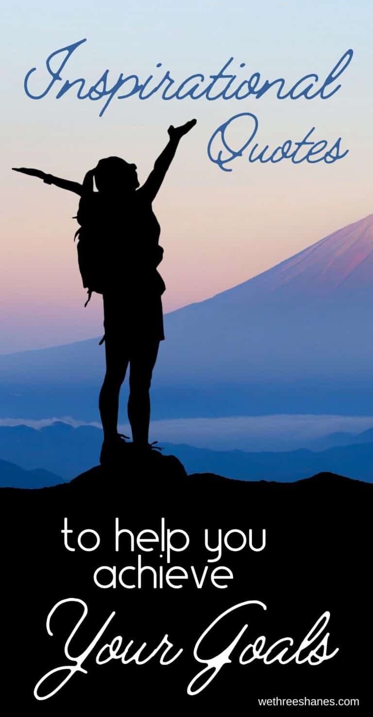 Inspirational Quotes to Help You Achieve Your Goals | We Three Shanes