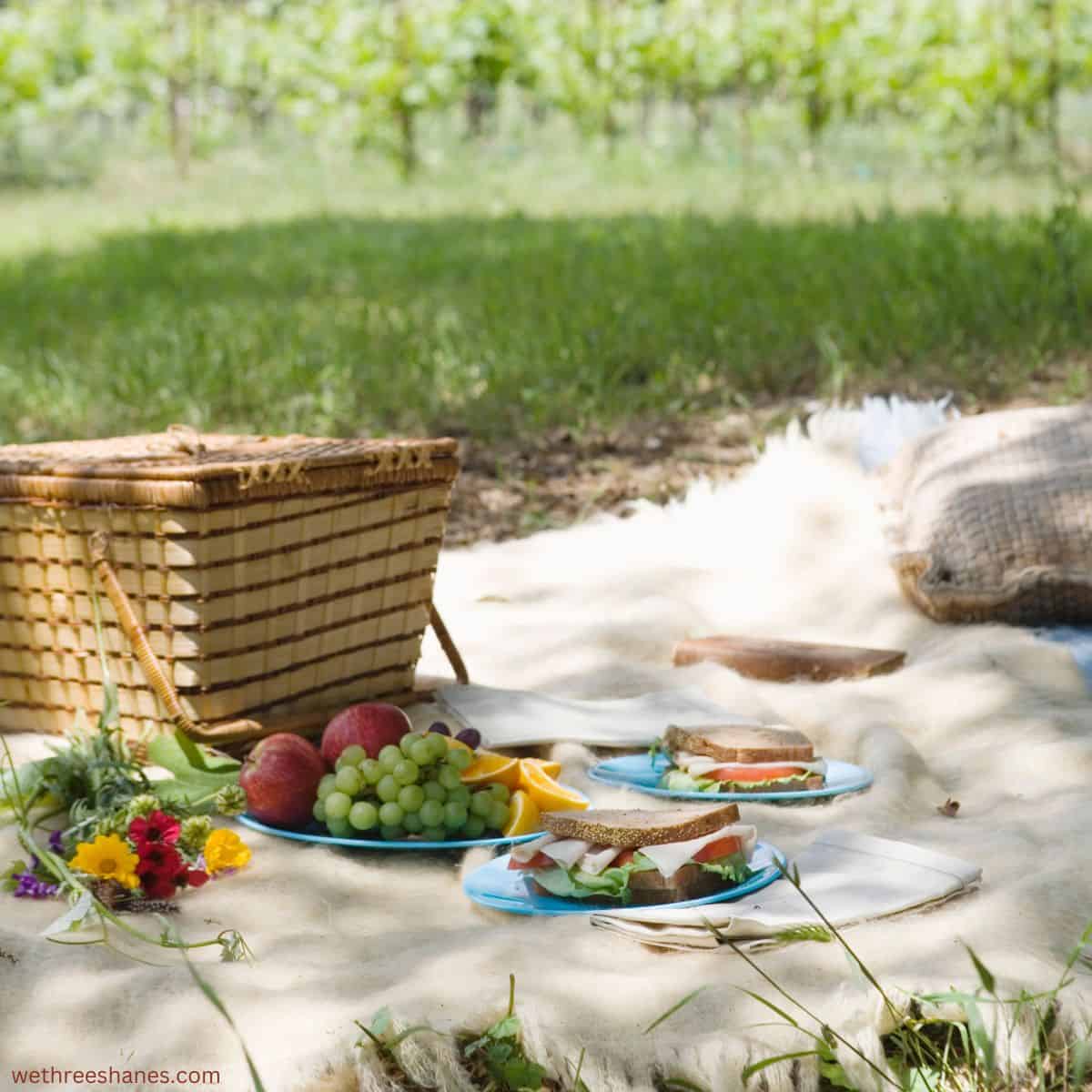 25 Easy Picnic Food Ideas | We Three Shanes