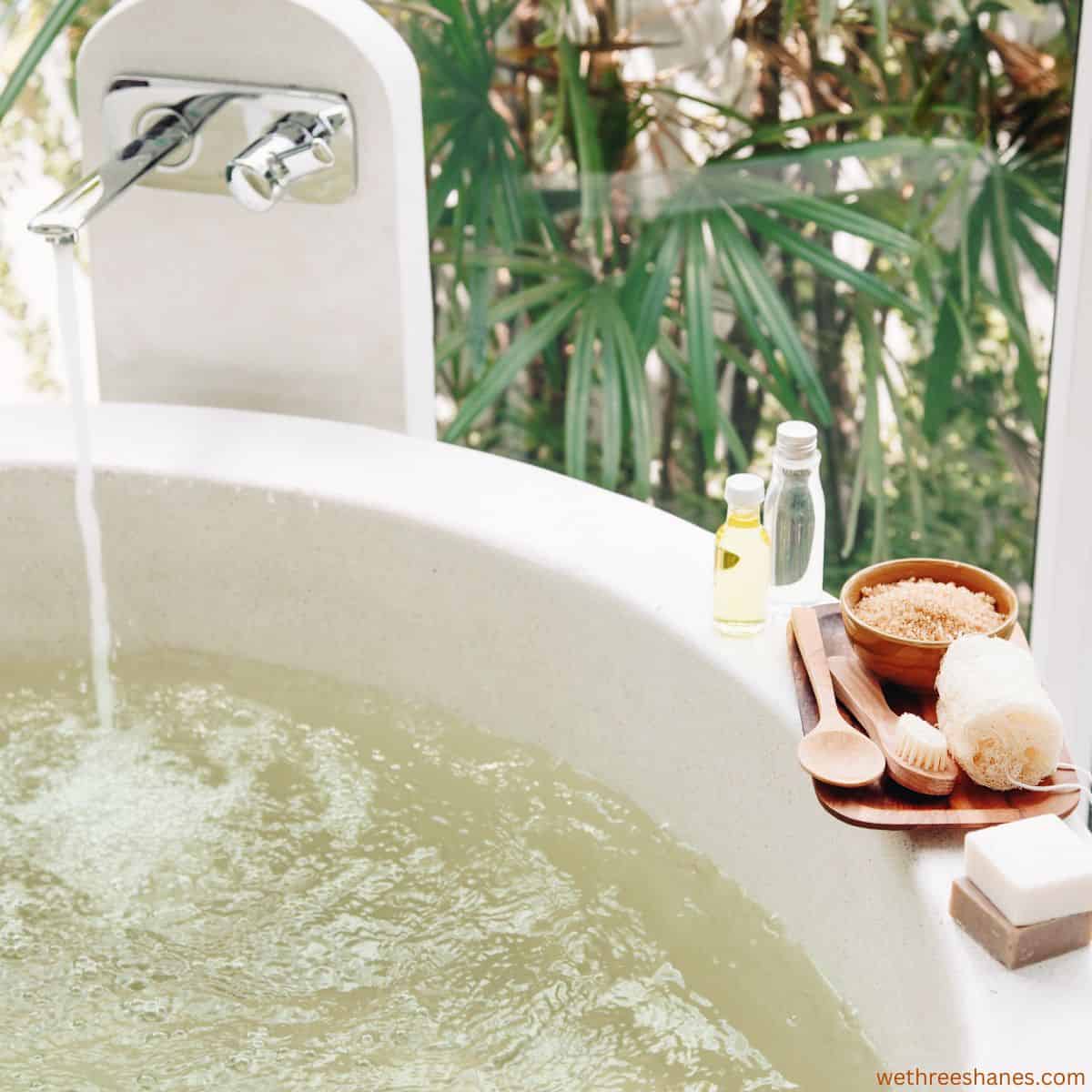 Natural DIY Detox Bath Recipe | We Three Shanes