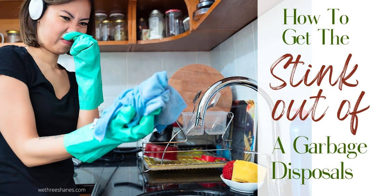 How To Get The Stink Out Of Your Garbage Disposal | We Three Shanes