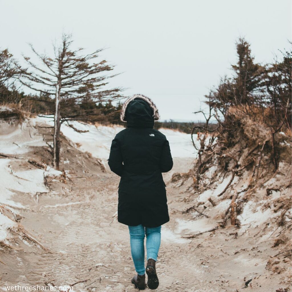 How to Enjoy Winter After the Holidays are Over | We Three Shanes