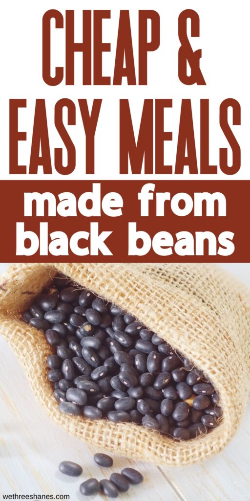 10 Easy & Cheap Meals You Can Make with a Bag of Black Beans | We Three ...
